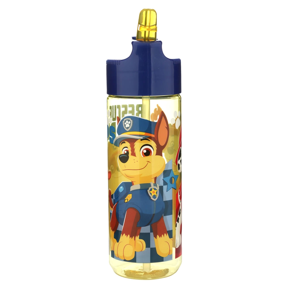 Botella Ecozen Hidro Grande 540 Ml Paw